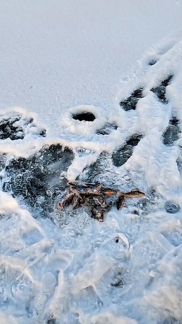 На рыбалке хорошо!