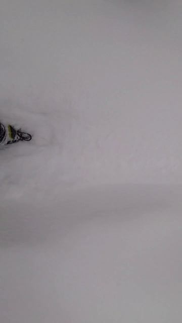 Снег, 29 января 2026 года