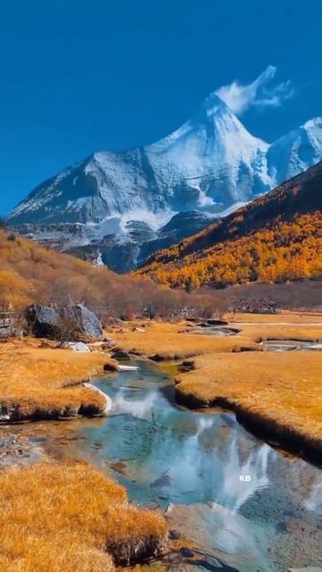 #katyboro #рекомендации #топ #врек