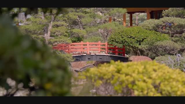 ПРЕКРАСНЫЙ СТАРЫЙ ГОРОД И ЦВЕТОЧНЫЙ РЫНОК МОНАКО