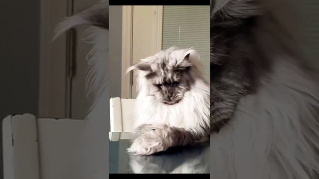 весёлая подборка под SONIC MUSIC Nah-Neh-Nah