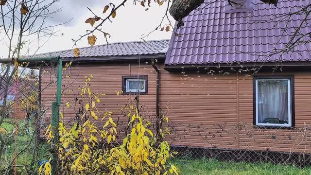 Примета: Если роятся мошки значит...