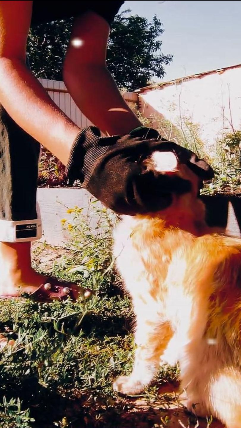 Утро в сельской местности