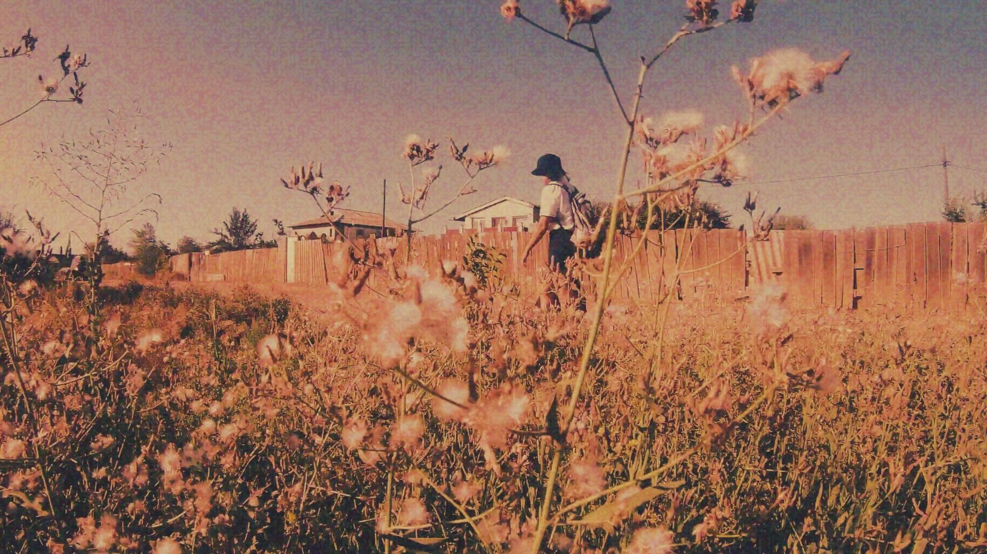 Поехали домой