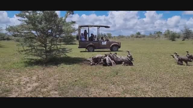 ОТДЫХ на  Занзибаре!САФАРИ  по АФРИКЕ на ДЖИПЕ!