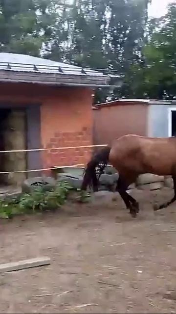 Любимая тренировка