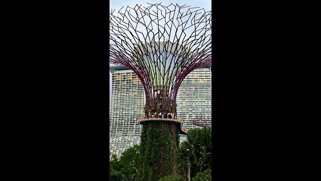 Гарден Бэй в Сингапуре