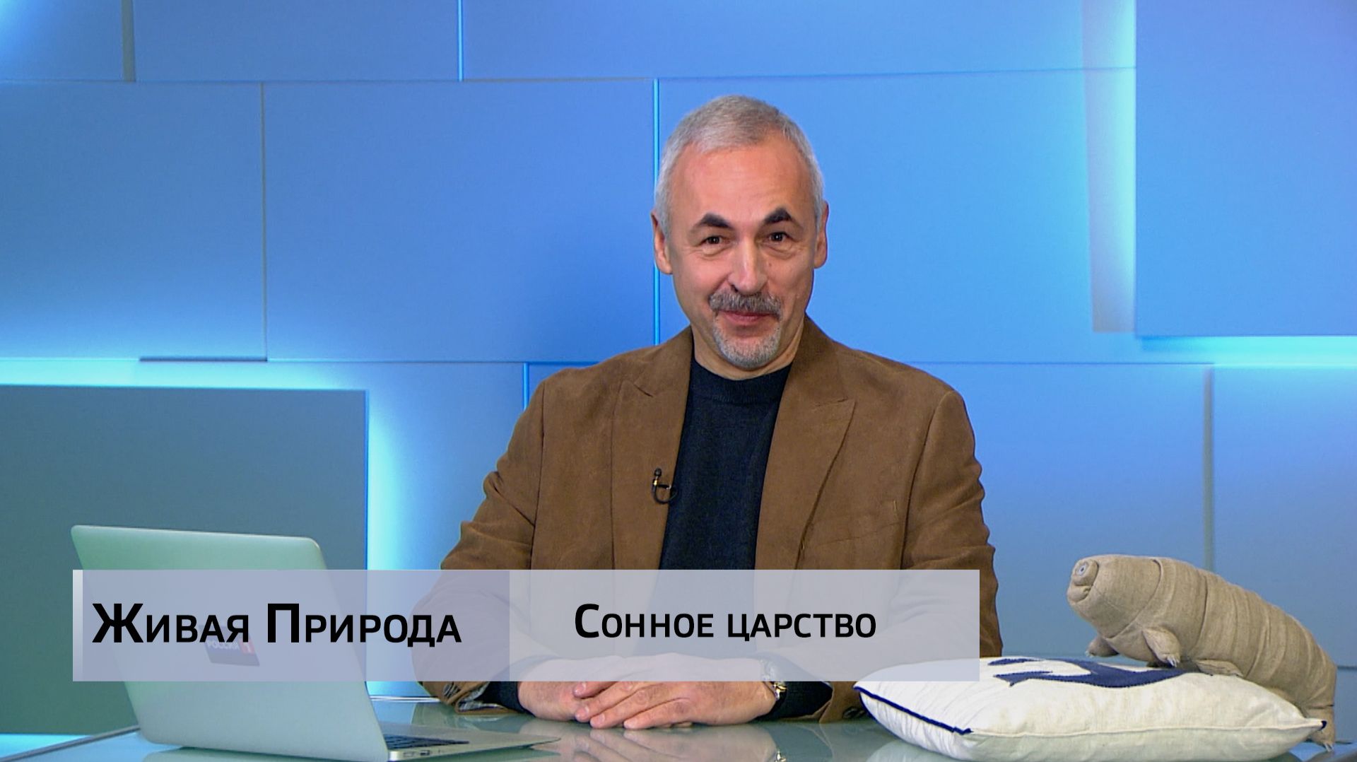 Живая природа. "Сонное царство"