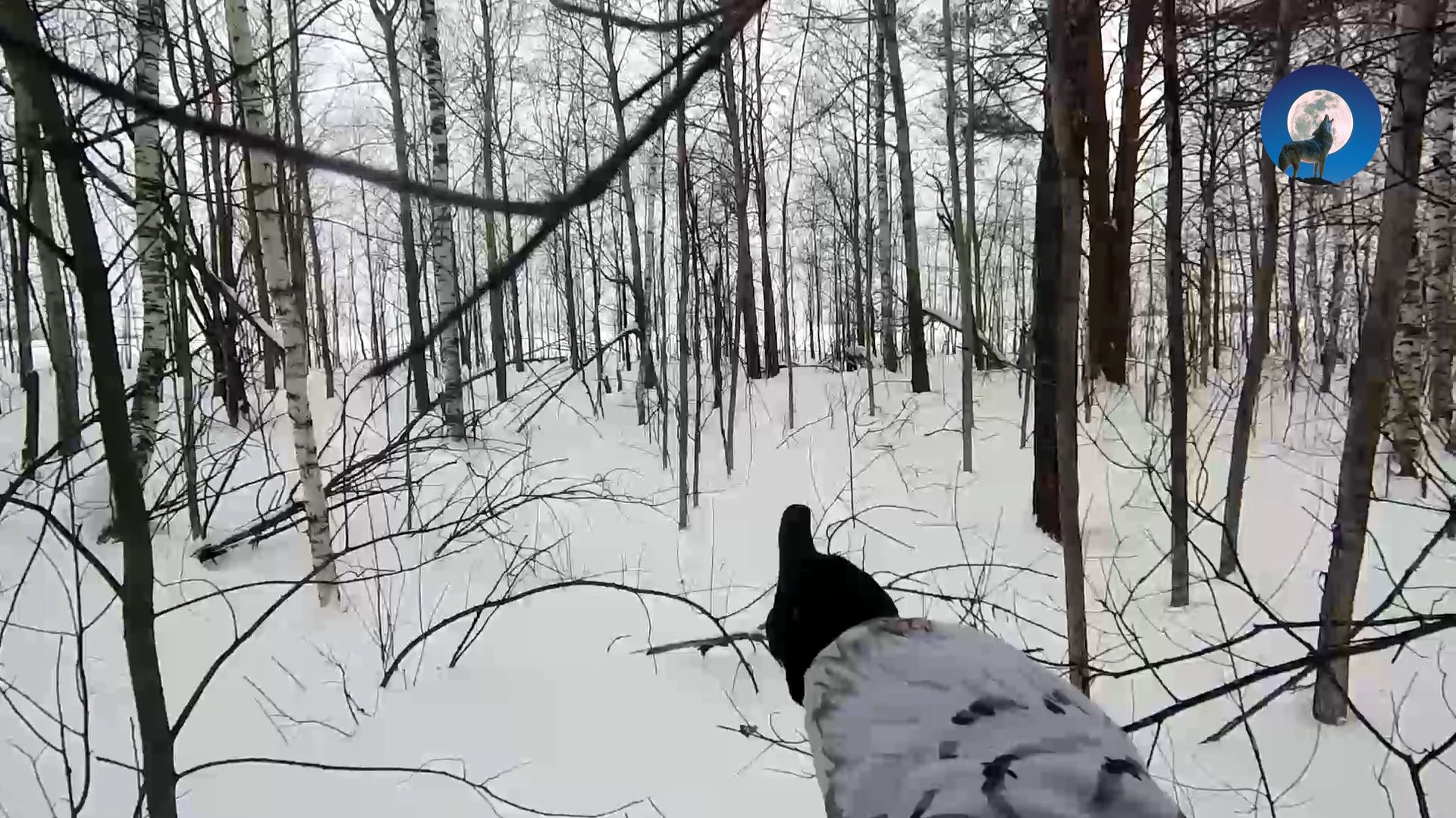 ОХОТА НА ЗАЙЦЕВ В МЕТЕЛЬ