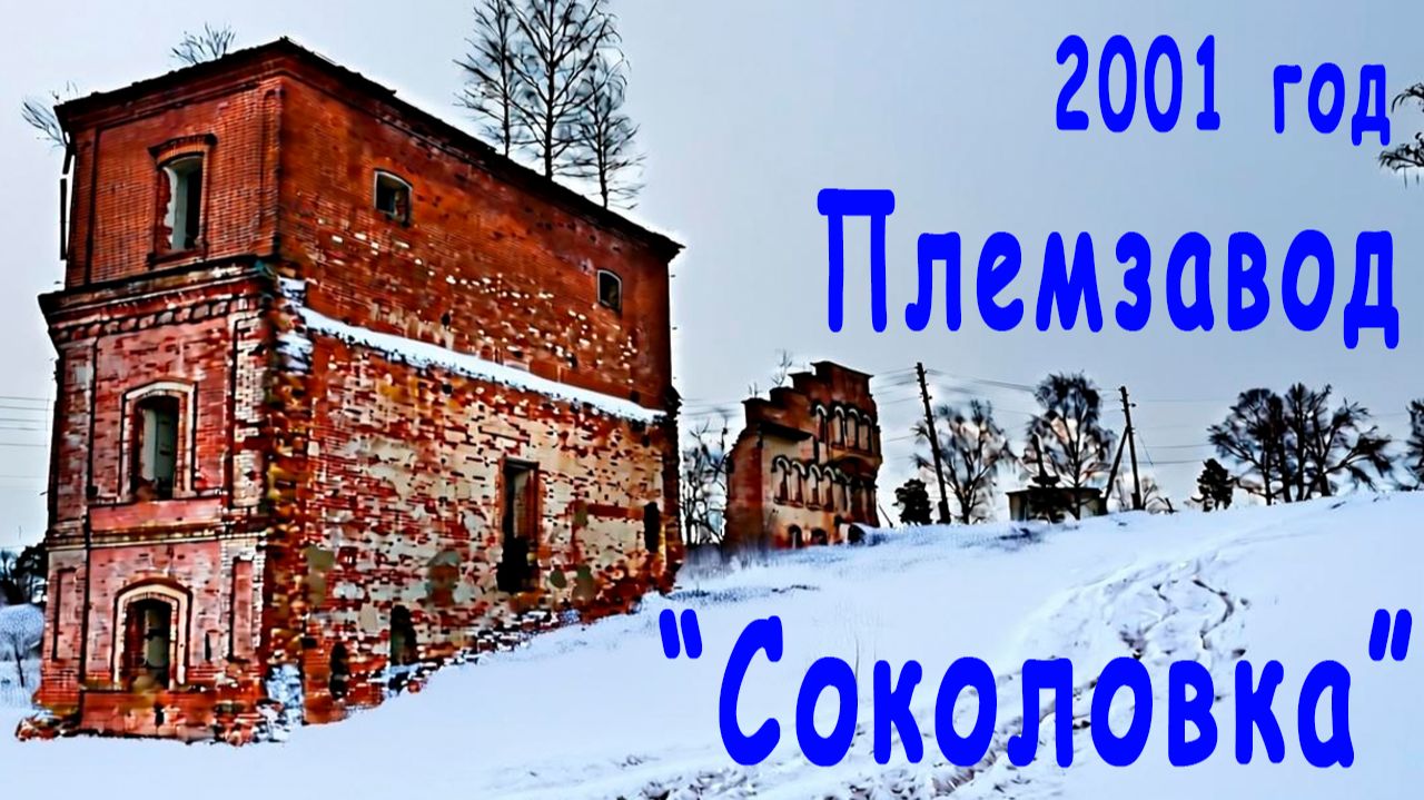 Племзавод Соколовка 2001 год