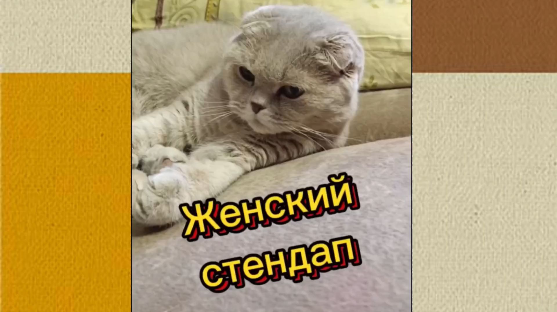 ЖЕНСКИЙ СТЕНДАП.