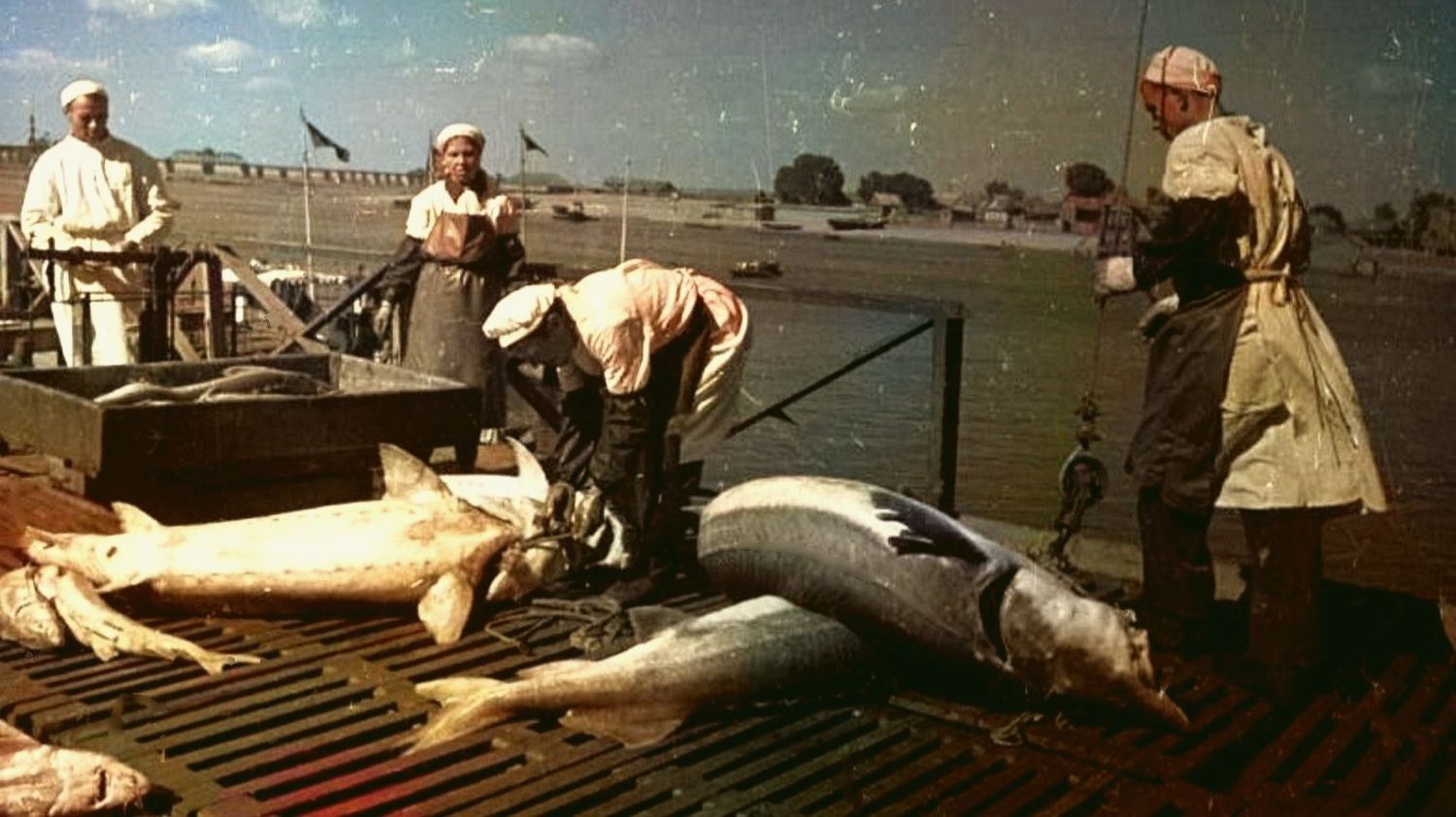 Астрахань 1 001 - по морю уходит рыбацкая байда...!