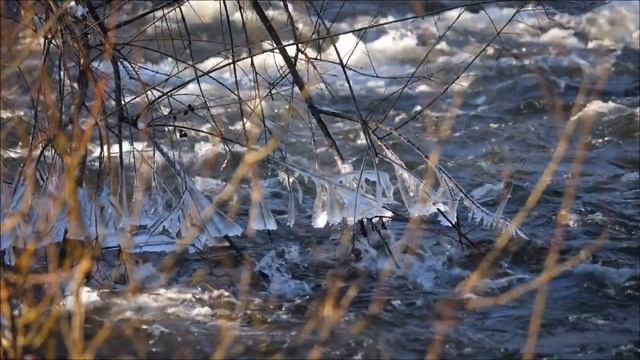 Гороскоп на сегодня. Не упустите свой шанс.