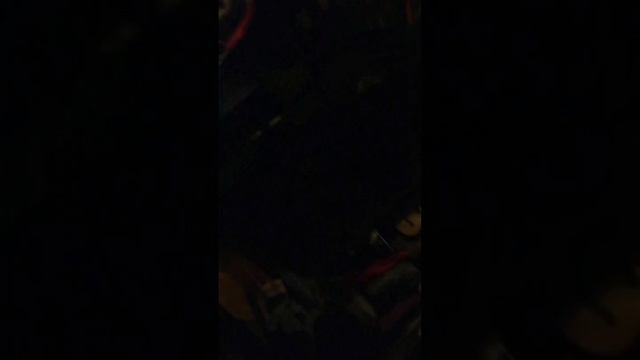 СПБ ЛЕН ОБЛАСТЬ   ОСЕННЯЯ НИРВАНА РЕПА video_2026-01-30 - AIN SOF TREE  8