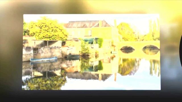 Nilotpala - Лоза