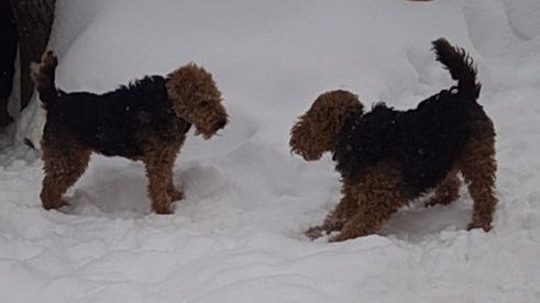 Снегопад 27-29 янв 2026 г.