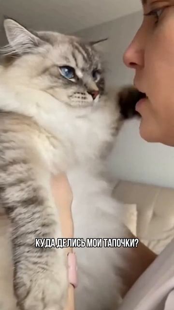 Мам, не ругайся