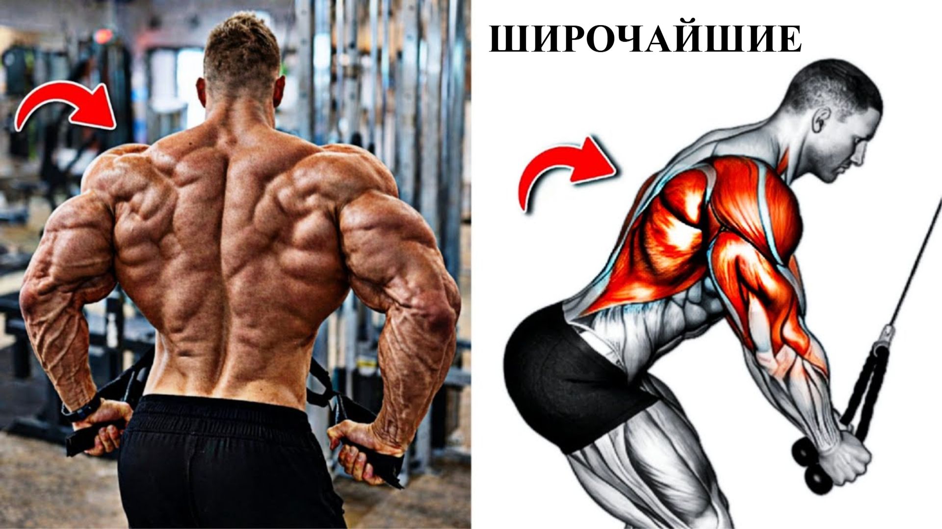 8 Лучших Упражнений Для Спины - Которые Быстро Построят Широкую и Сильную Спину 🔥