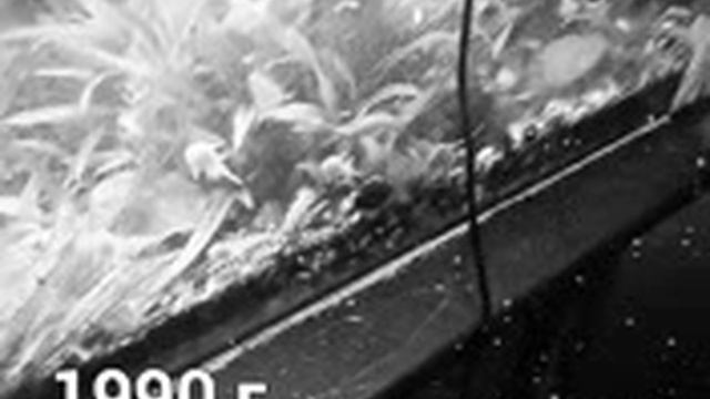 VHS - Бейби Анцитрус Плейтайм (Детский Центр) - Кассета