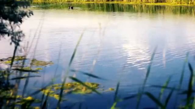 Ошо. Рай - это быть самим собой