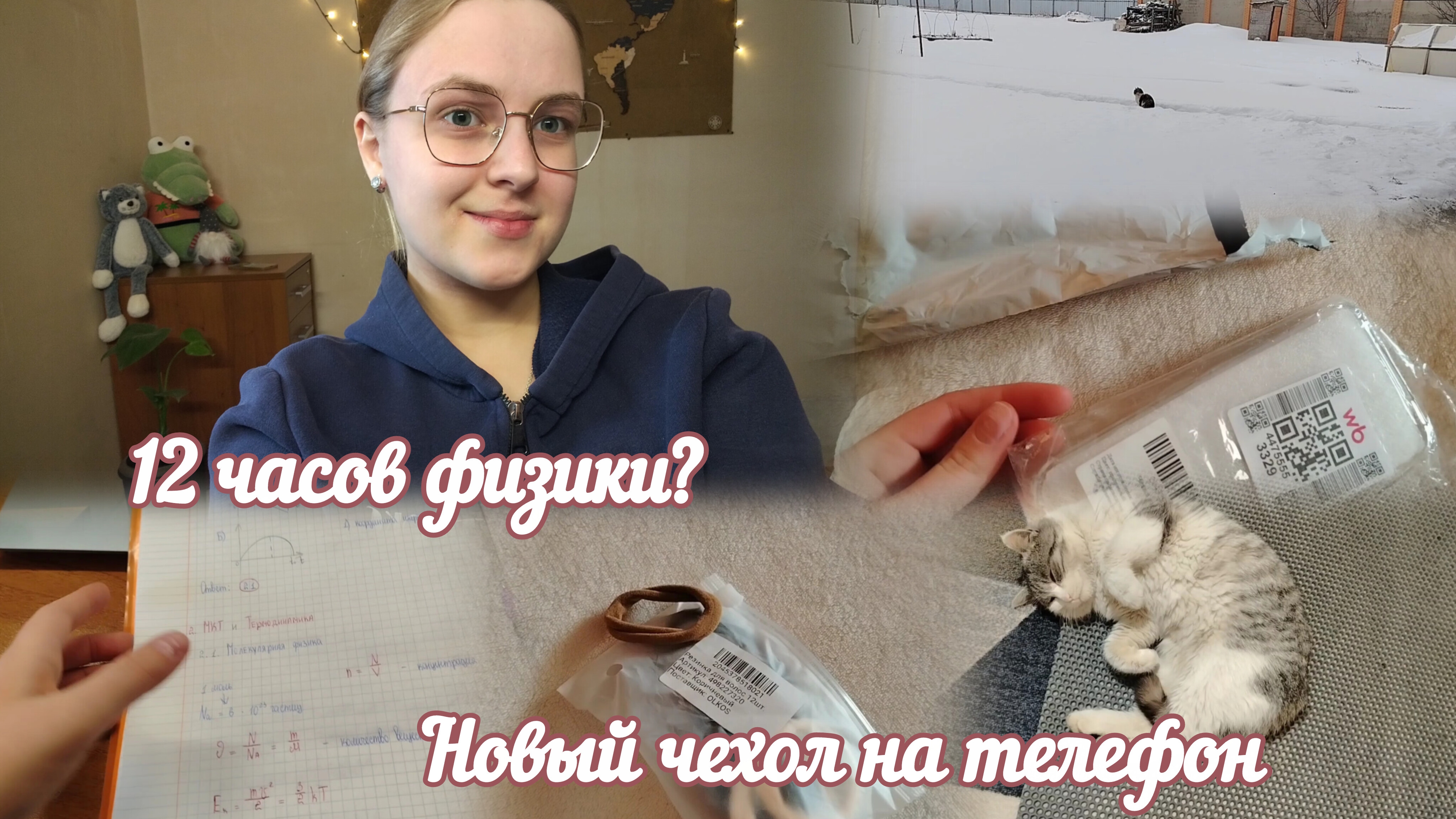VLOG Новый чехол на телефон📱 12 часов физики?😳