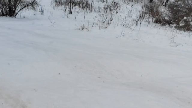 Большой влог дня😙😋|Lishka Like🍒