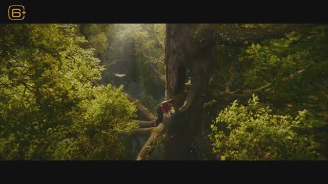 Вверх по волшебному дереву