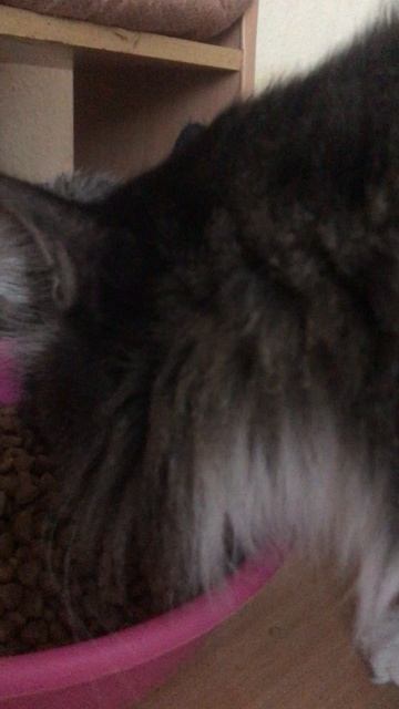 Ваш любимый хруст