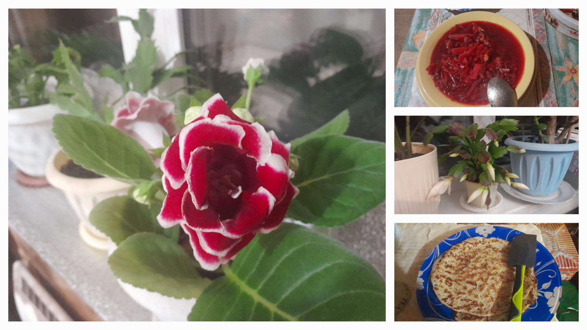 Жизнь в Сибирской деревне/День Борща и блинов/Деревенский дневник 29-30.01.2026