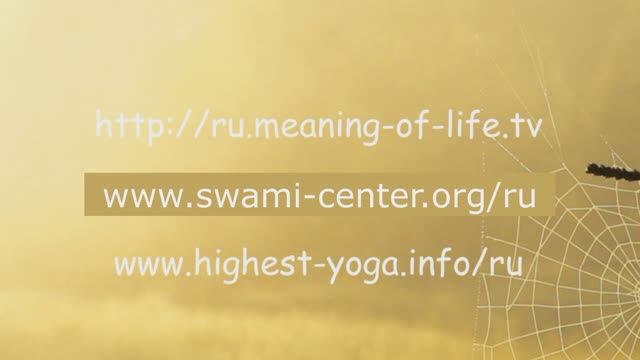 САТТВА ЛЕСА — 1, 2013 (Rem)