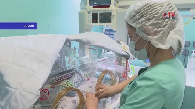 Губернские новости. 29.01.2026