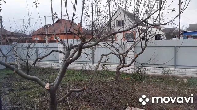 Ходили в МФЦ. Закончили сборку прихожей.