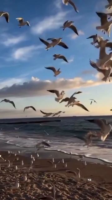 #katyboro #рекомендации #топ #врек