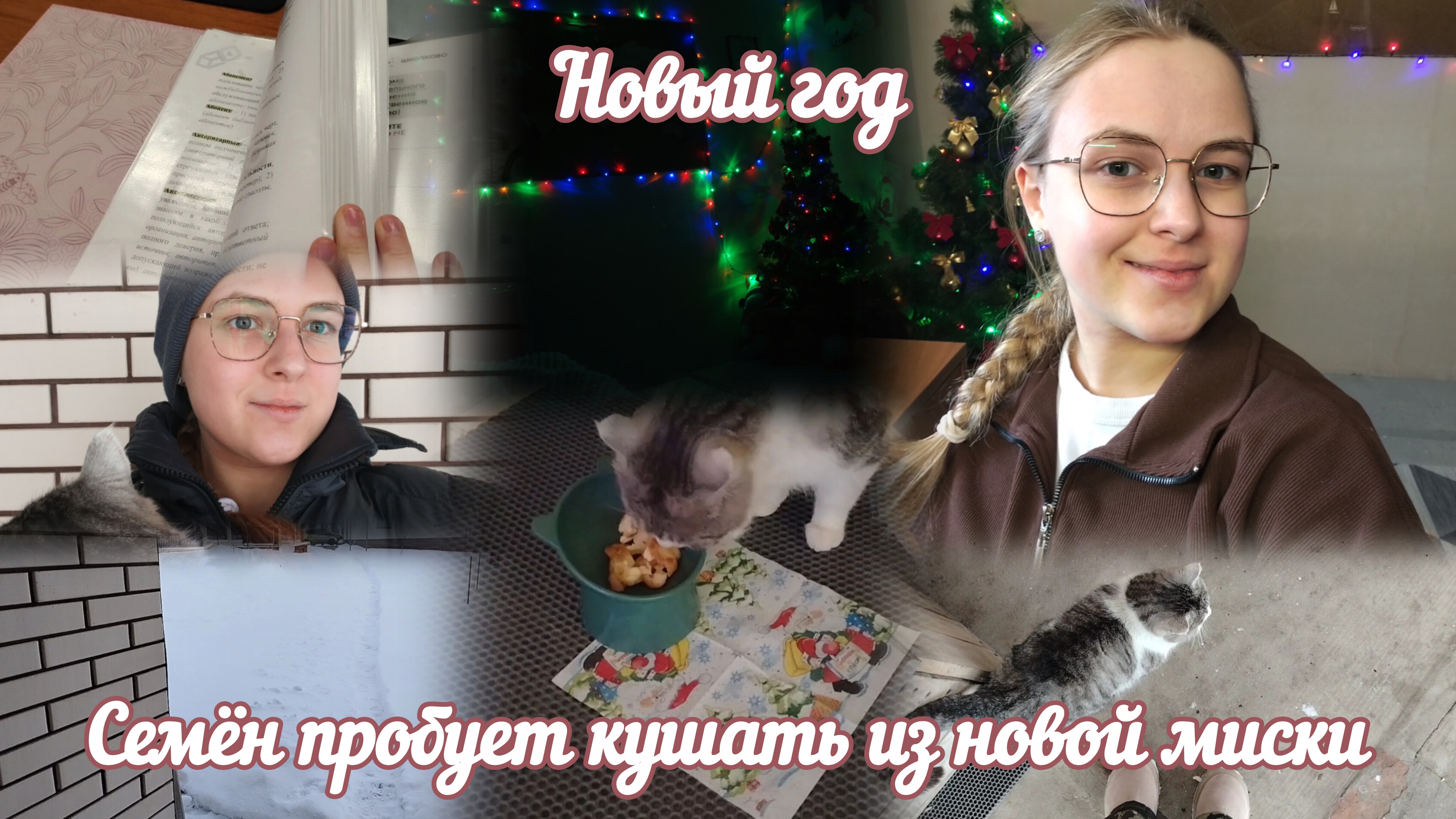 VLOG Новый год🎄 Семён пробует кушать из новой миски🥣
