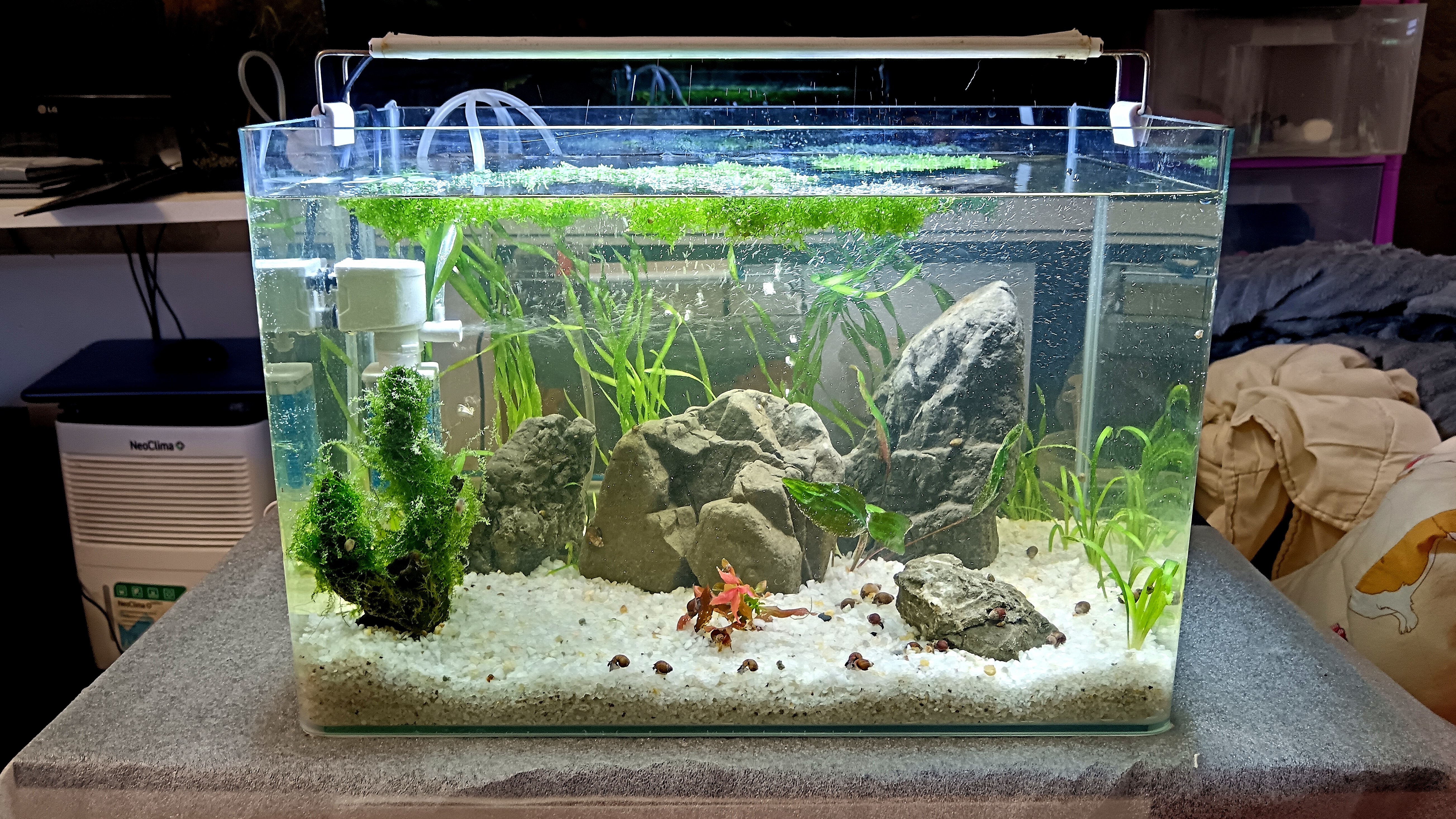 Заказ Татьяны 37 литров Премиум бесшовный (расширенная версия)