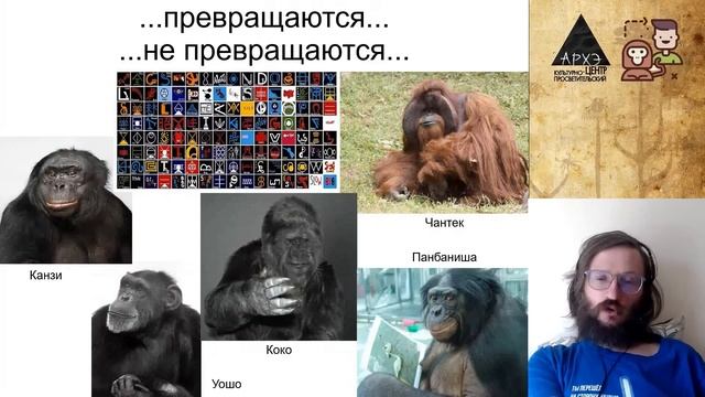 Станислав Дробышевский: Почему обезьяны не превращаются в людей (№6)