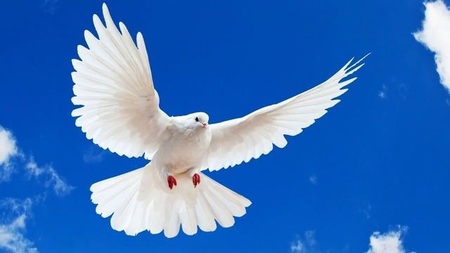 Песня Разговор с богом Алла Розвадовская Поговорим песни о Боге