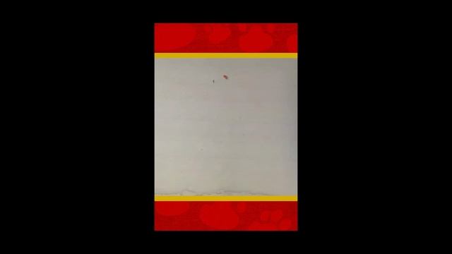 Рецепты для кошек - Лакомство из индейки! (Котя будет доволен!)