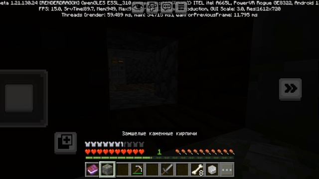 VHS Minecraft 2