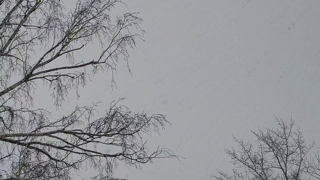 "А снег все идет"