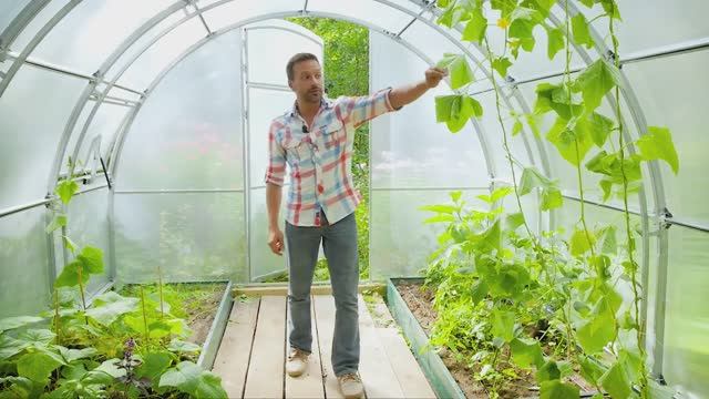 Теплица из сотового поликарбоната Актуаль!Bio с особым Био-слоем