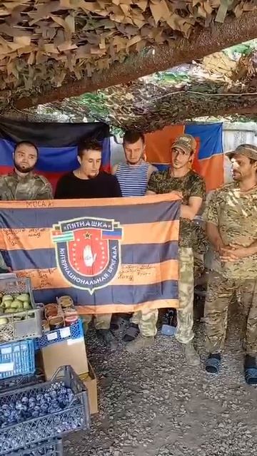 пятнашка 11082024