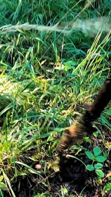 На пути к успеху!