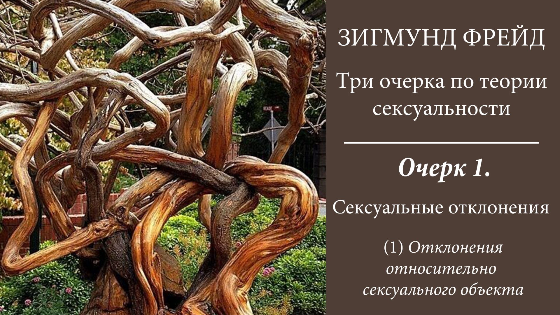 Три очерка по теории сексуальности. Очерк 1.(1) Отклонения относительно сексуального объекта