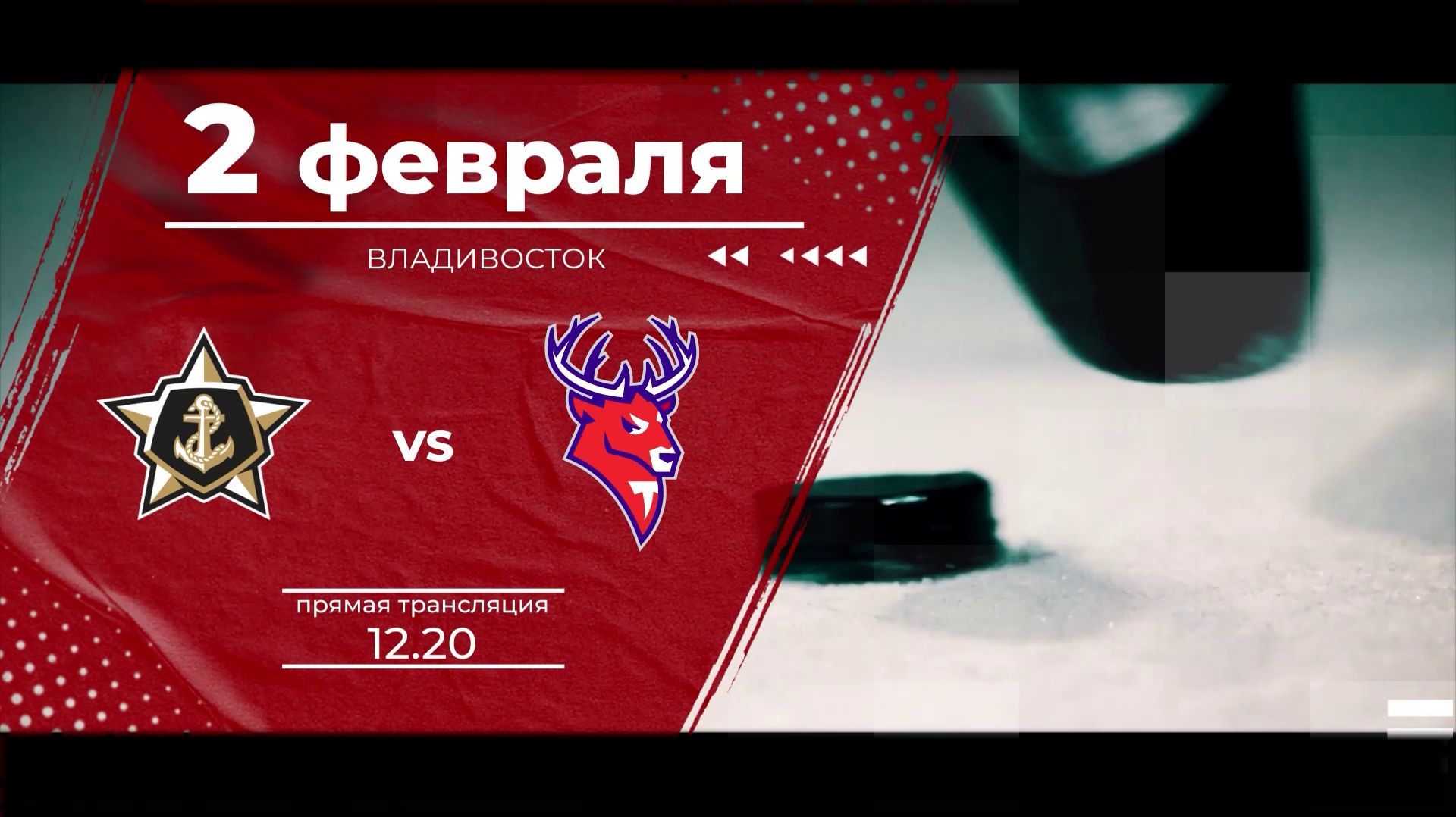 Матч КХЛ "Адмирал" - "Торпедо": следите за игрой на телеканале "Нижний Новгород 24" и на "Маяке"