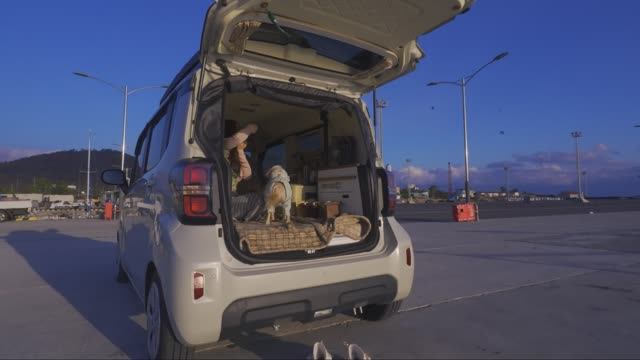 Зимний пикник на берегу моря с моей собакой в маленьком кемпере 🚙