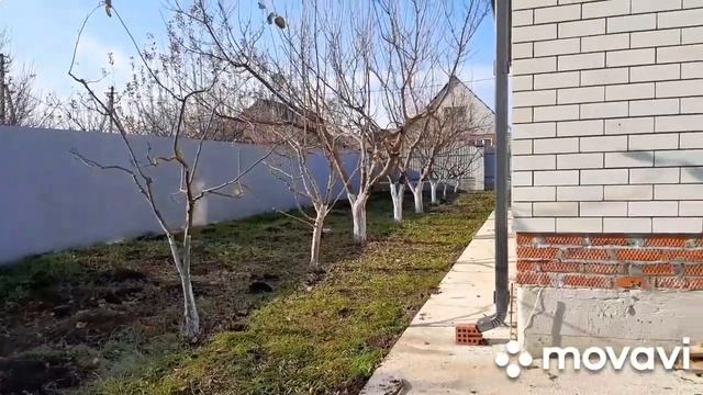 640 км. Убрали инструмент. Сборка второго гарнитура. Покупки на рынке.