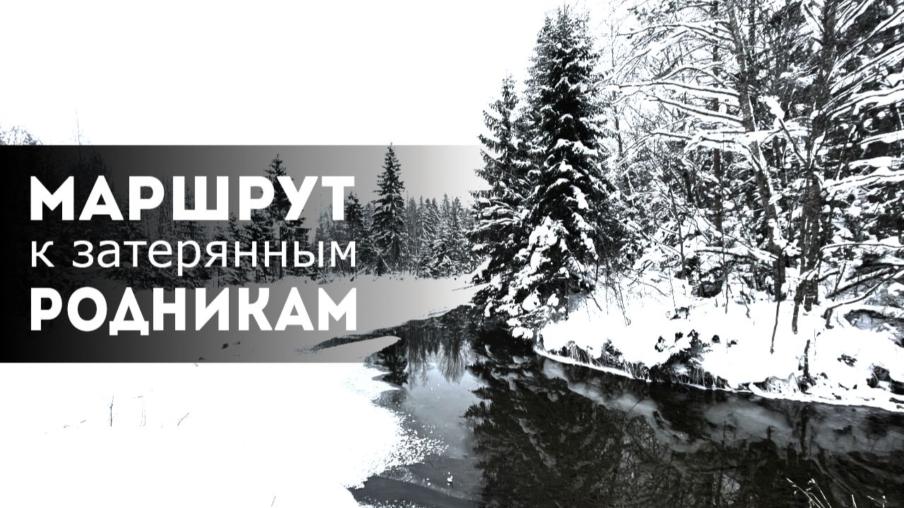 ФОРЕЛЬ в Верховьях Зимой — МИФ? Личный Эксперимент. Правда Оказалась Неожиданной #trout #мормышинг