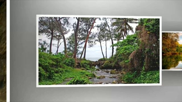 Nilotpala - Ключева водица