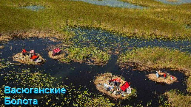 Ответы на Вопросы и Комментарии от 30.01.26